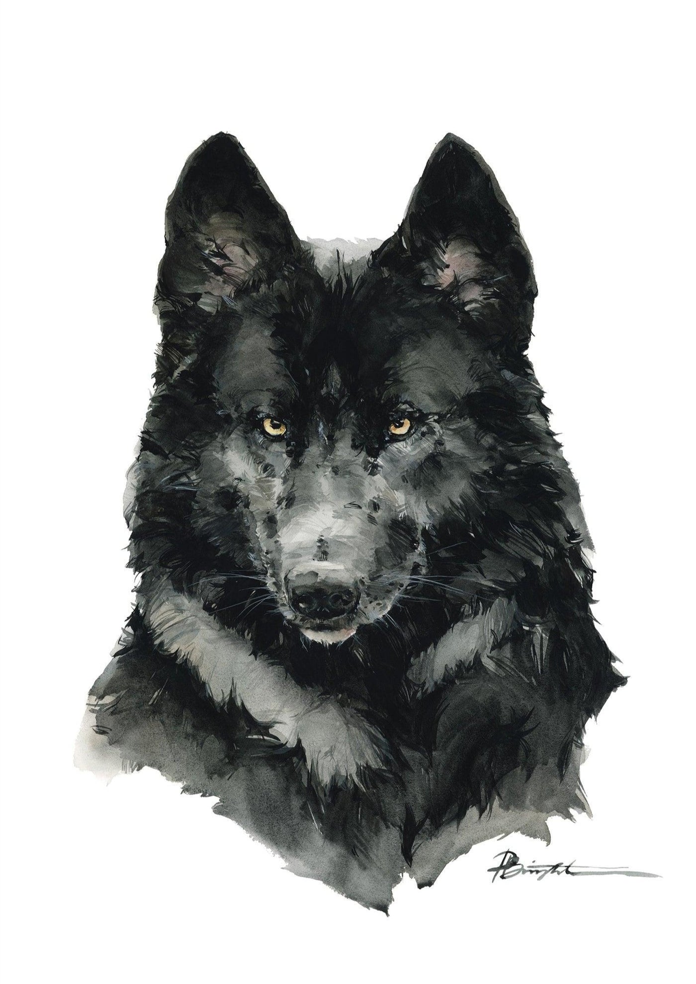 Black timber wolf - print
