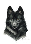 Black timber wolf - print