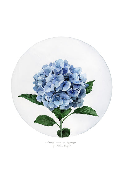 Blue hydrangea - print
