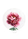 Hanakisoi tree peony - print