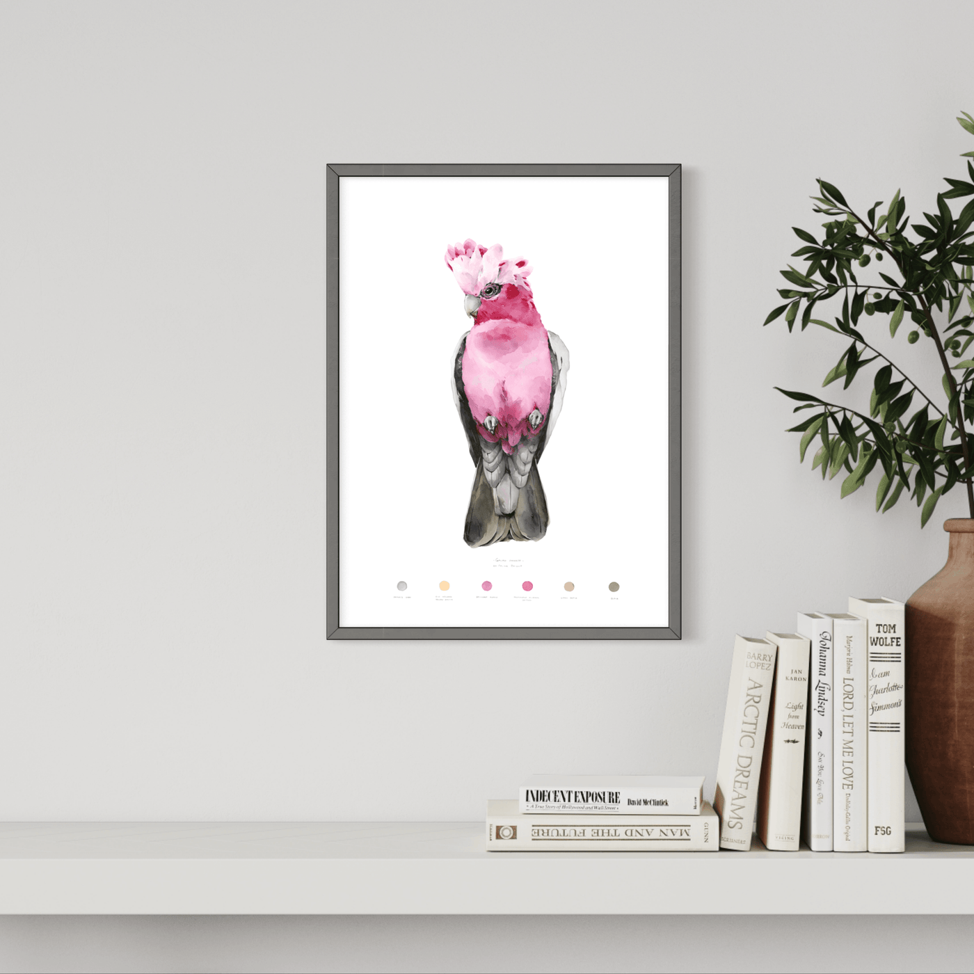 Galah parrot - print